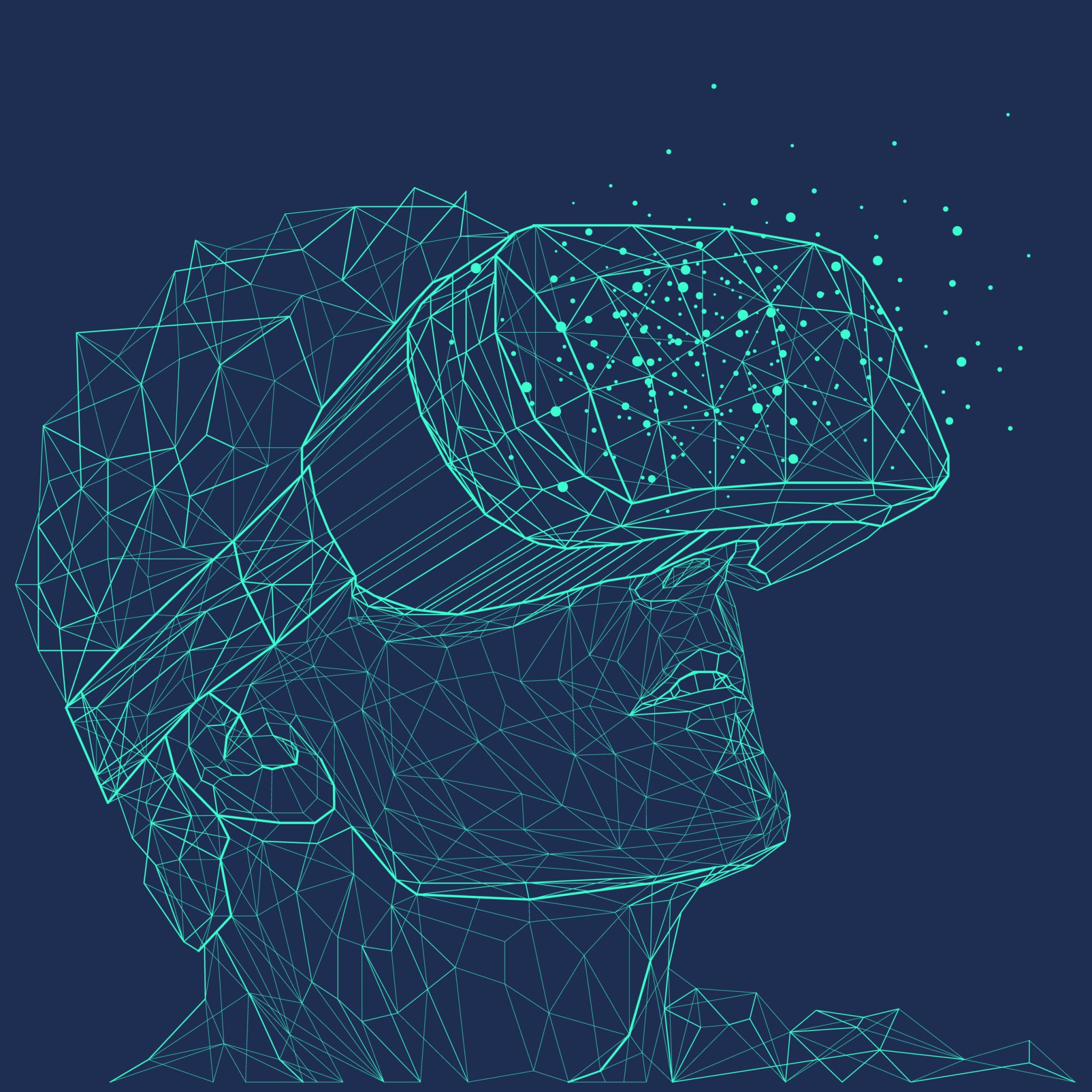 Virtual Reality Meets Language Teaching – Council for European Studies